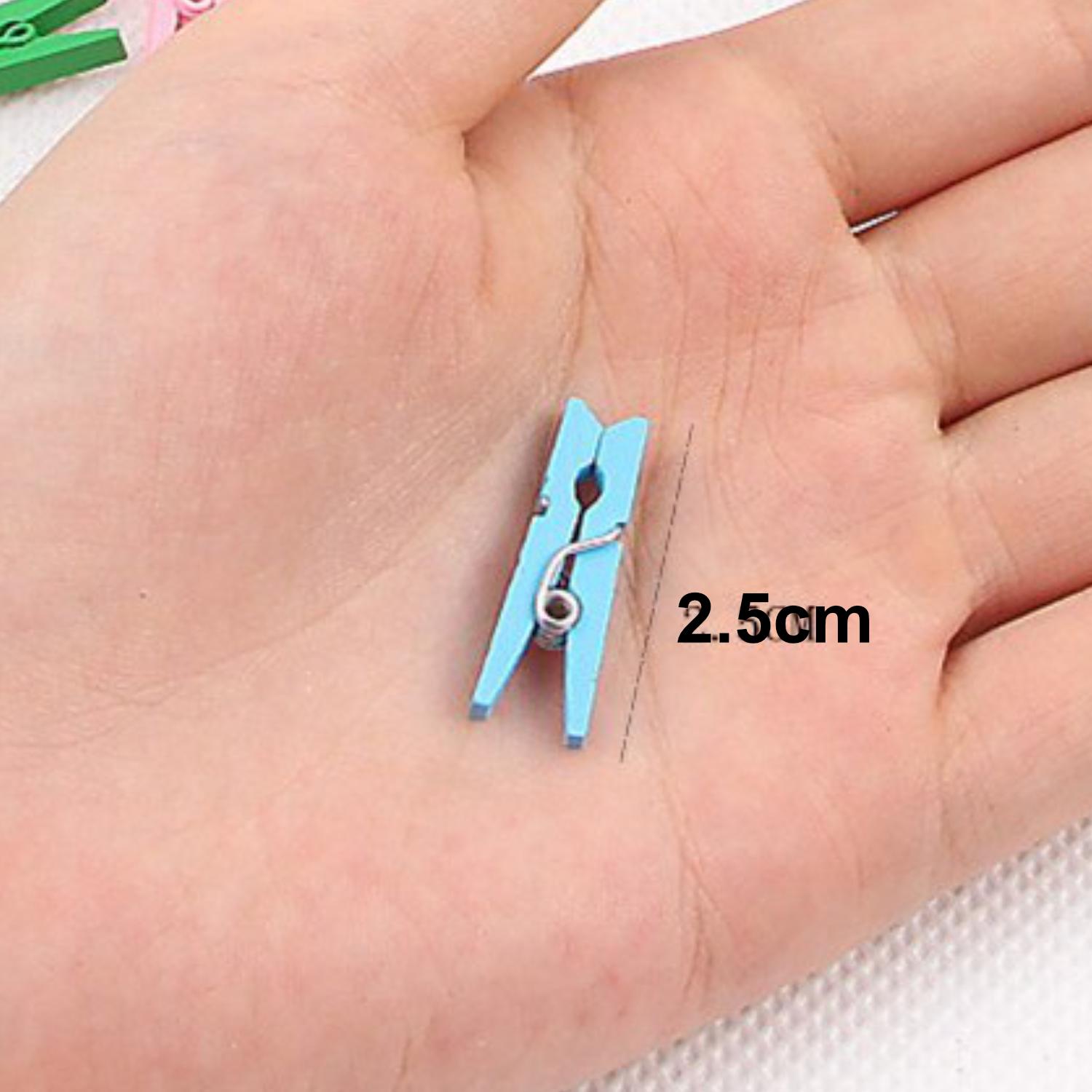 Houten mini wasknijpers - Set van 50 stuks - Multicolor - Houten mini ...