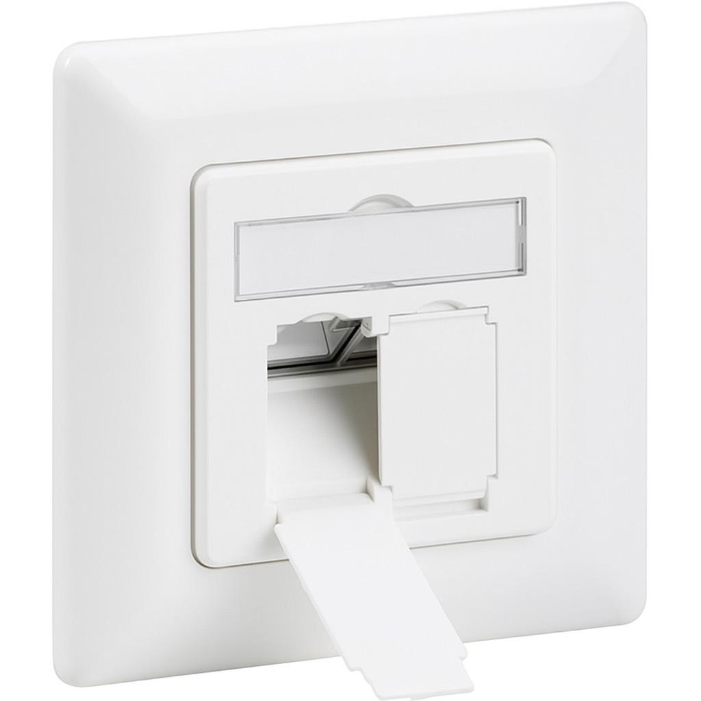 Wandcontactdoos cat 6a - Soort: Cat 6a Aansluiting 1: LSA strook ...